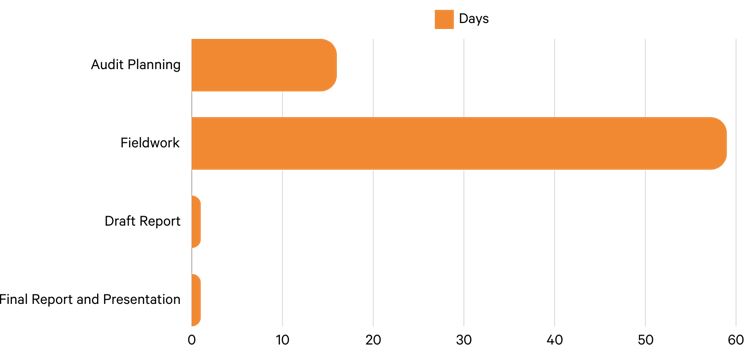 Audit Proposal Template